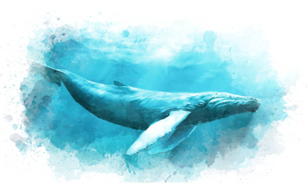 Ilustracion de Ballenas con Acuarela – Taller de gráfica nahual